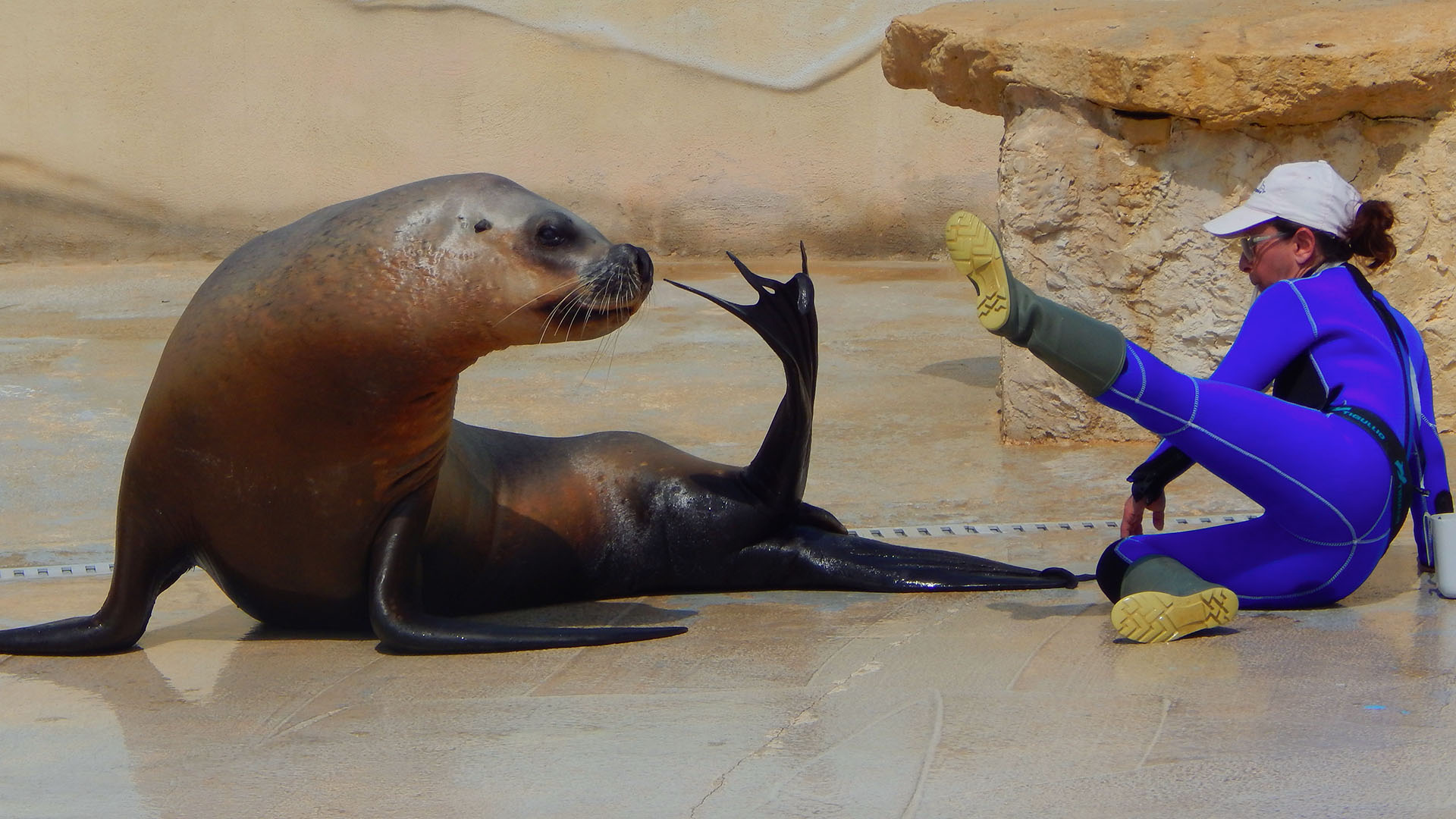 Your browser does not support the tag